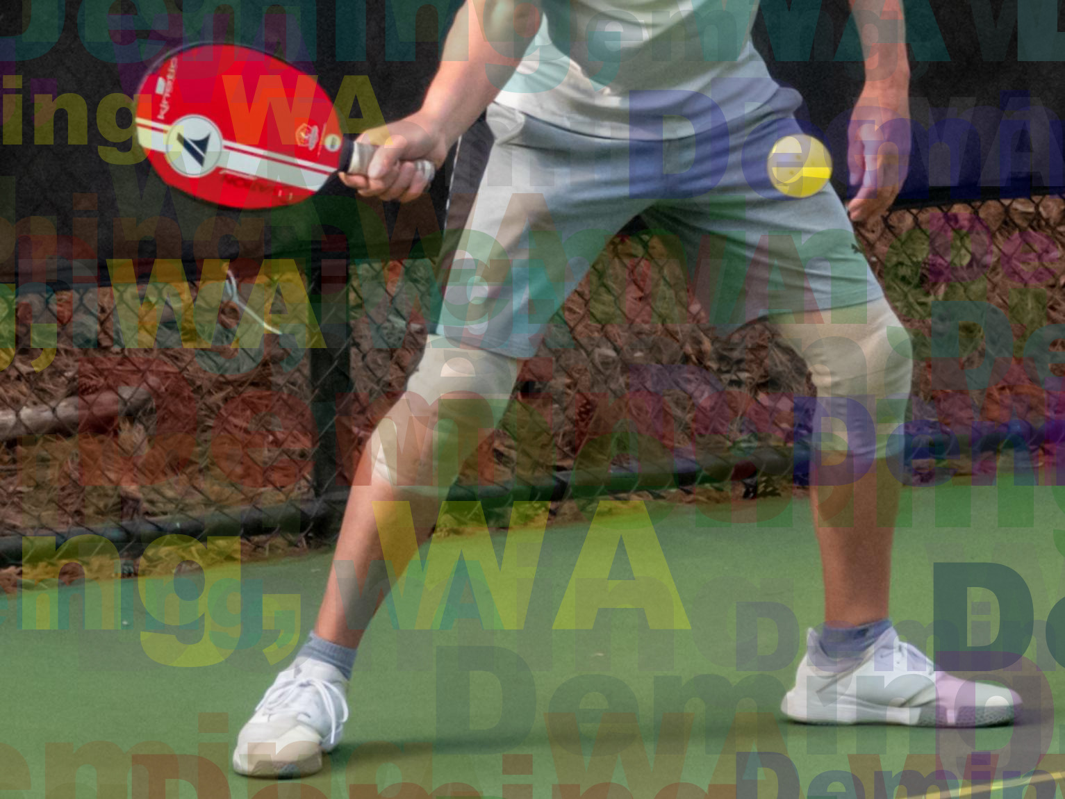 Deming Pickleball: Where to Play, Learn & Compete